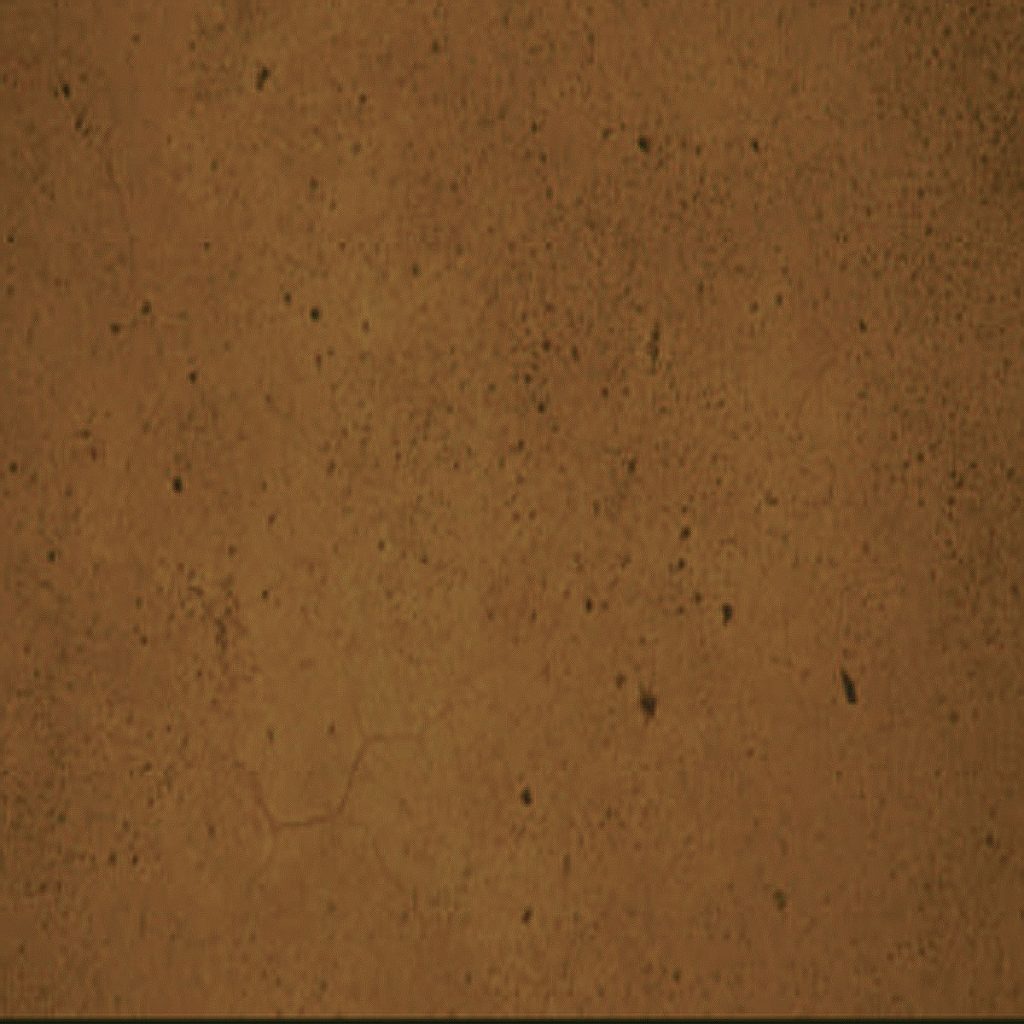 Moon Decorative Concrete | CARAMEL QT. ACETONE DYE - Moon Decorative ...