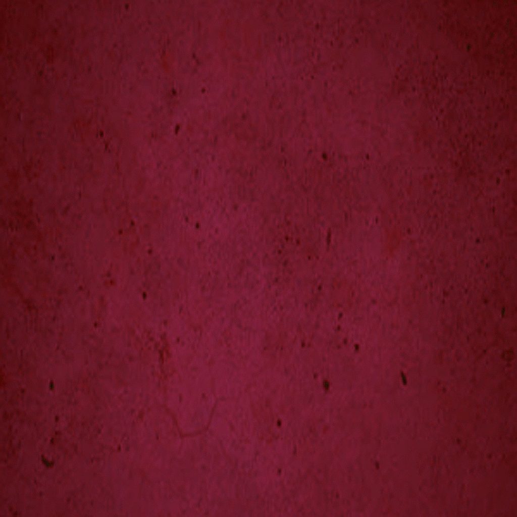 Moon Decorative Concrete | EGGPLANT SAMPLE ACETONE DYE - Moon ...