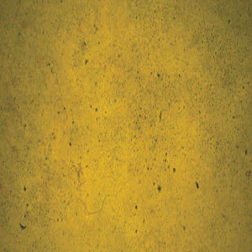 Moon Decorative Concrete | GOLD SAMPLE ACETONE DYE 4OZ. - Moon ...